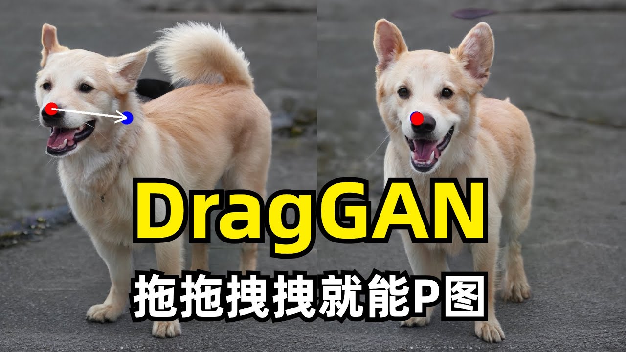 【AIGC】GAN模型出新花样 | DragGAN模型 | 点点拖拽就能生成新图像 | 让狗转头让狮子开口让人眨眼 | MIT谷歌马普所多团队 ...
