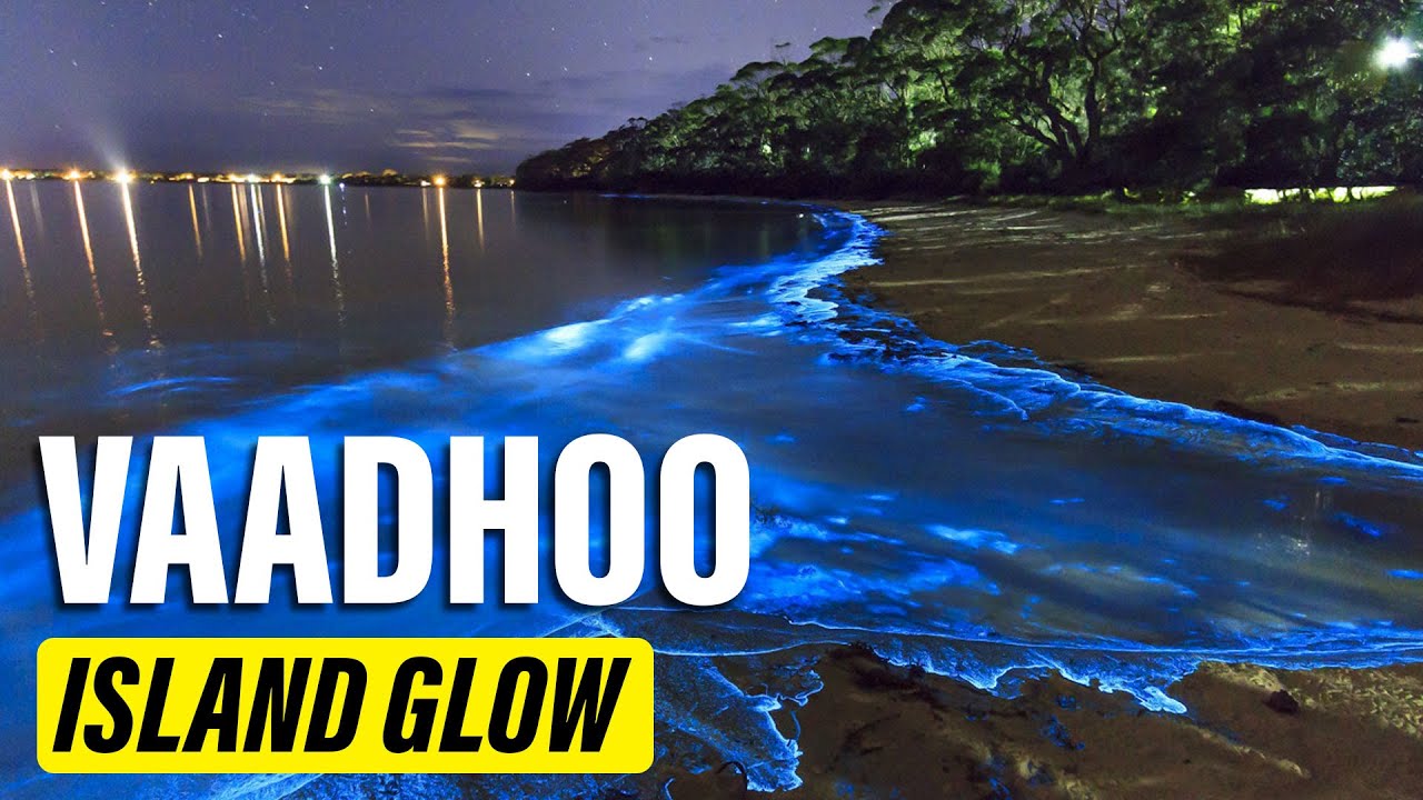 Vaadhoo Island: Maldives’ Magical Glowing Shores - YouTube