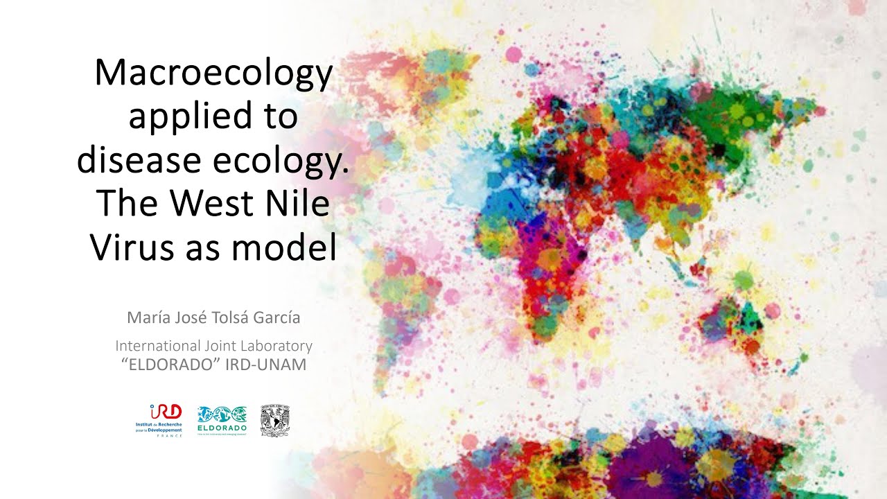 María José Tolsá-García: Macroecology of arboviruses - YouTube