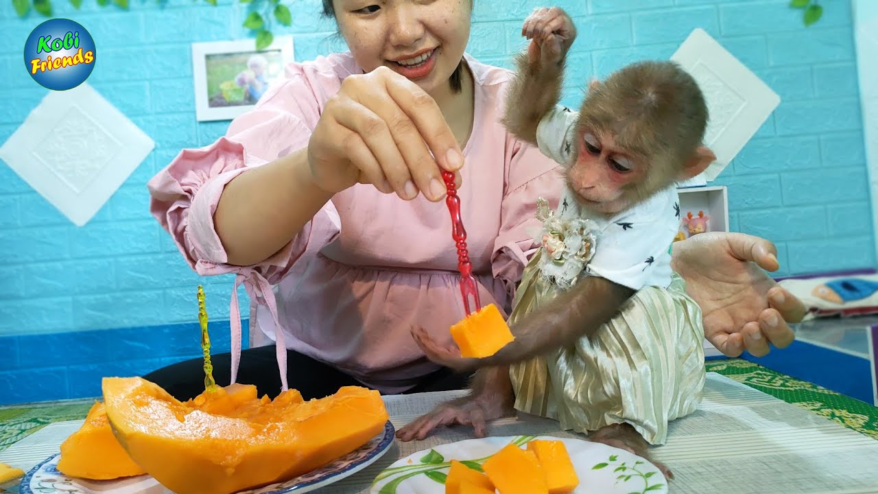 Kobi Monkey acts funny eating papaya with her mother - YouTube
