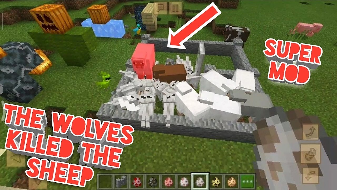 Terrible tragedy in Minecraft Wolves attack sheep and kill sheep super ...