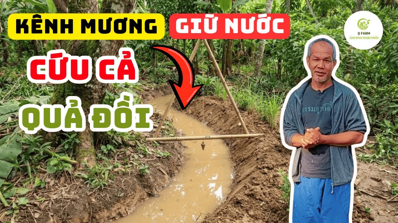 Cách Xây Kênh Mương Thu Nước & Giữ Nước Hiệu Quả - Bí Quyết Jon Jandai ...