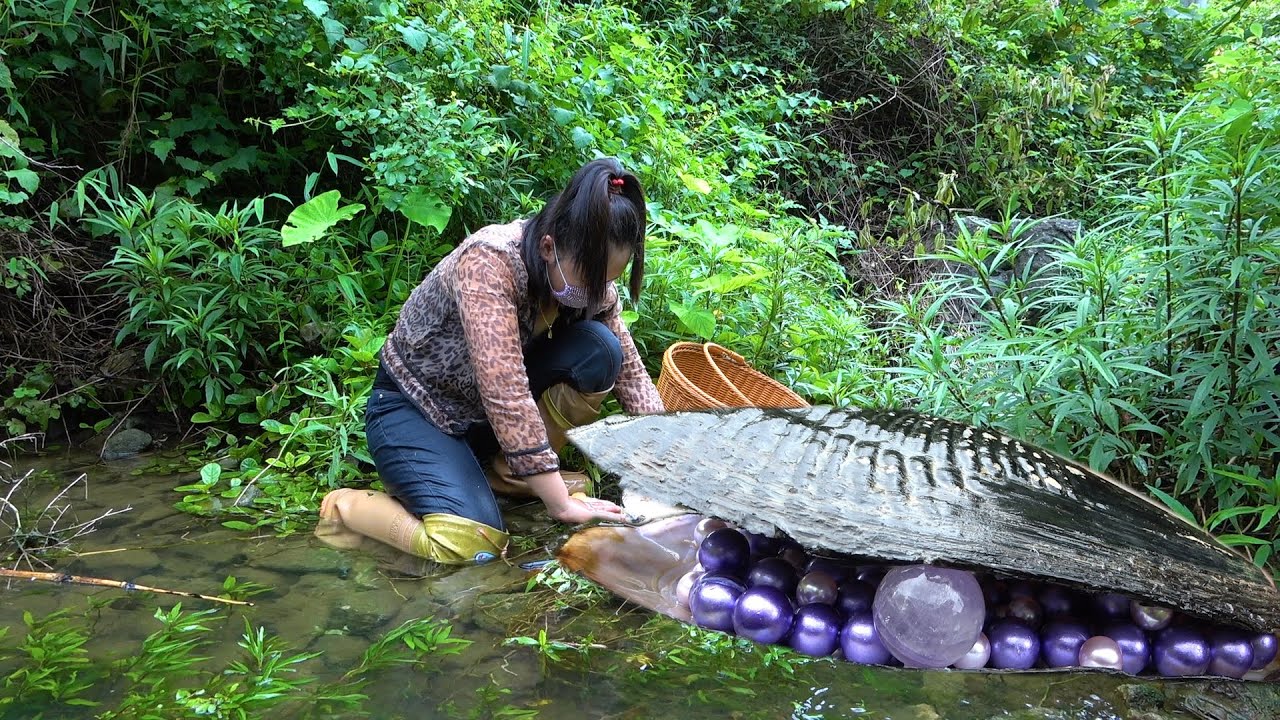Beauty captures a century old pearl clam, producing an astonishing ...