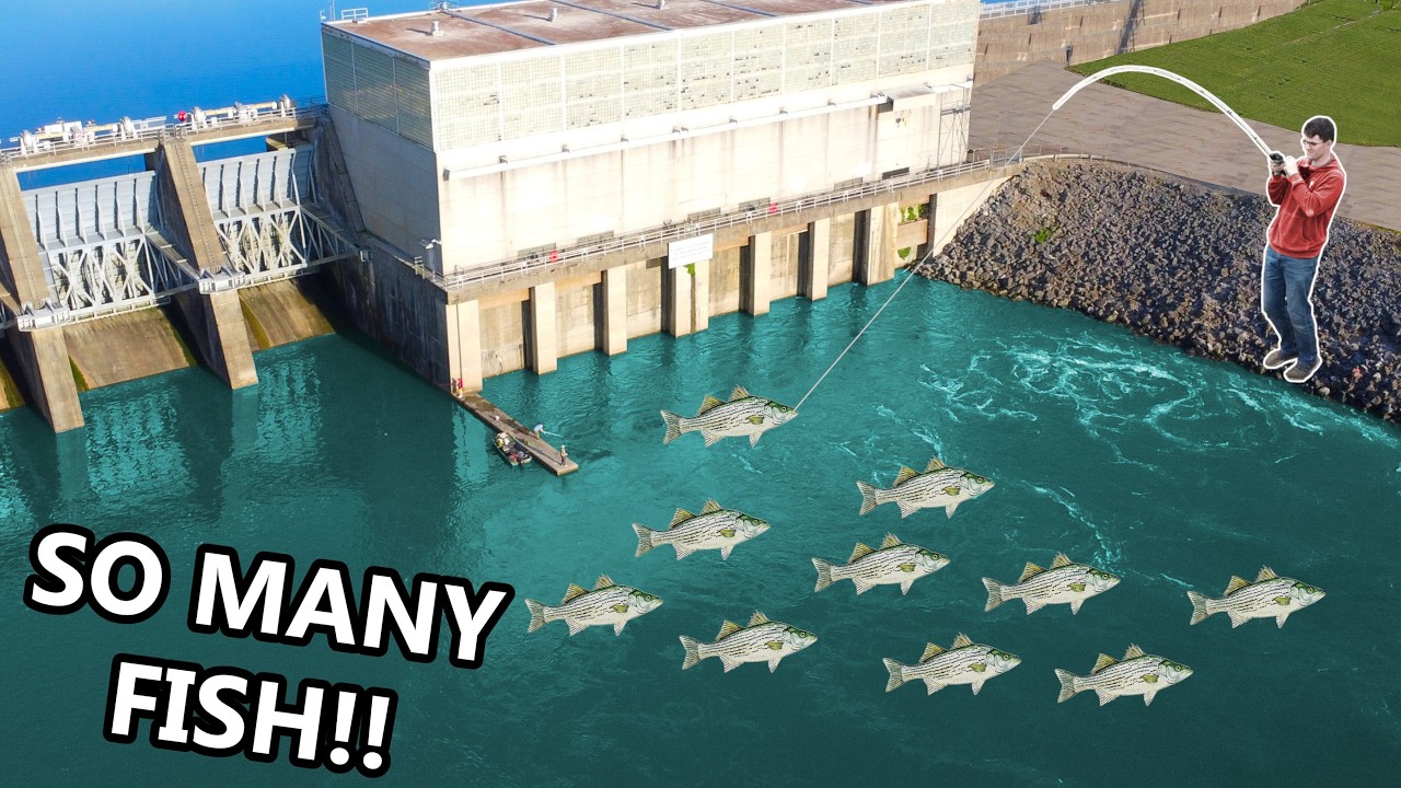How Many Fish Can I Catch in 1 Hour?? .... (A LOT) - YouTube