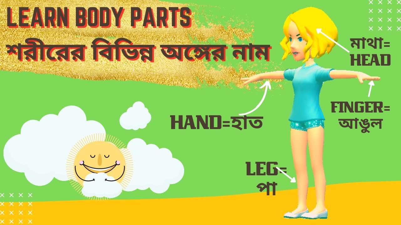 Body Parts Name Body Parts Name Bangla To English YouTube body-parts-name-body-parts-name-bangla-to-english-youtube