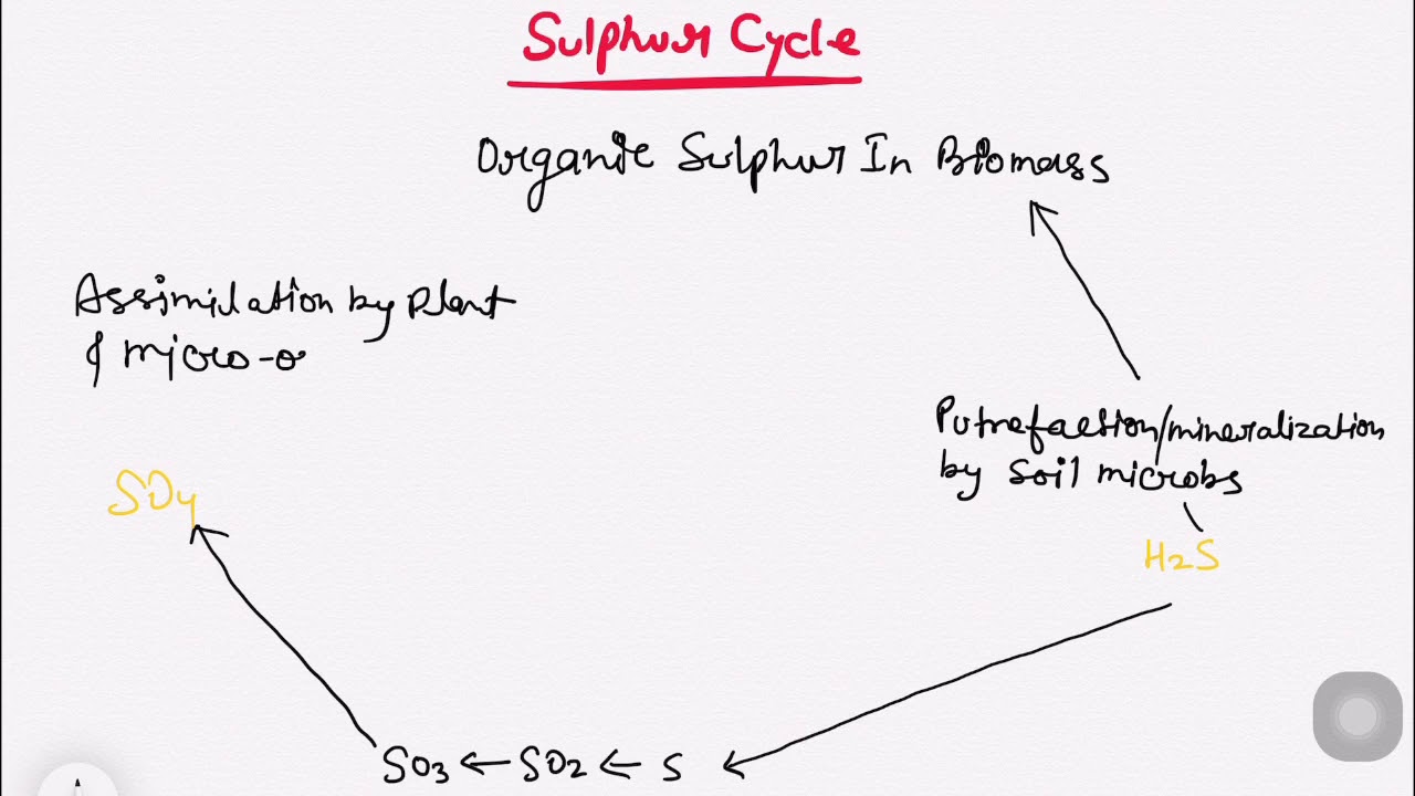 SULPHUR CYCLE - YouTube
