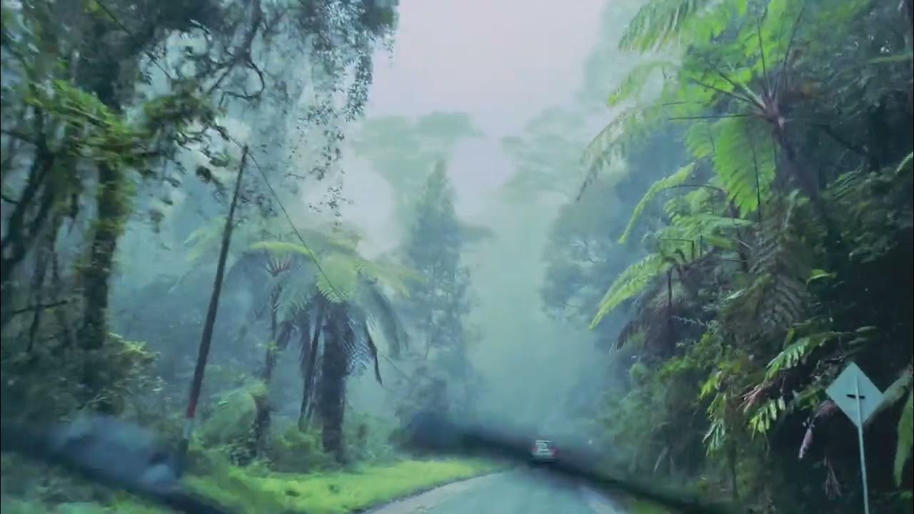 Jalan Akses Menanjak & Berkabut Menuju KAWAH PUTIH CIWIDEY, BANDUNG | Adem dari Mata sampai ke ...