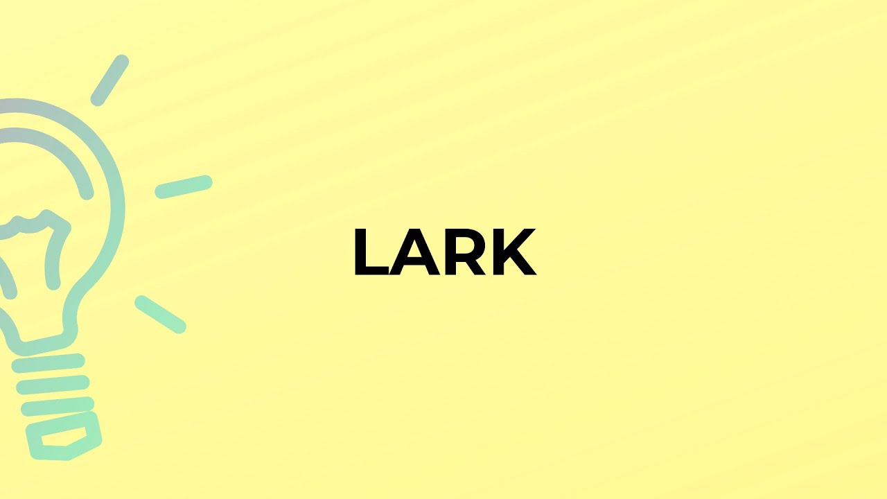 What is the meaning of the word LARK? - YouTube