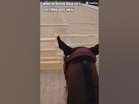 Everything goes away… #horsey #horsebackriding #trending #capcut #fypシ #edit #slay #slayedit # ...