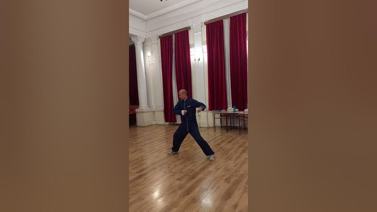 发劲 Fa Jin, Energy Maximally Flowing of Taijiquan in Belgrade, Serbia 太极拳发劲 塞尔维亚 贝尔格莱德 - YouTube