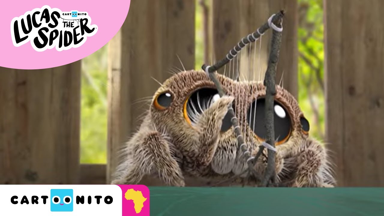 Lucas The Spider | How to write a song | Cartoonito Africa - YouTube