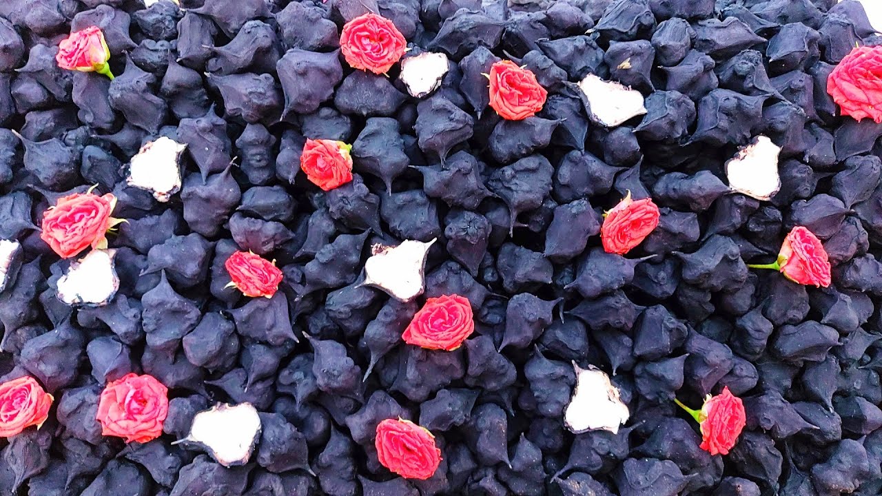 Singada | Singhara | Water Chestnut | Water Caltrop | Season's Special ...