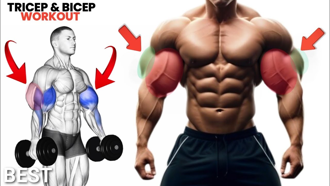 Best Tricep & Bicep Exercises To Build Big Arms Muscle | Big Arms ...