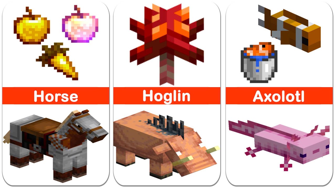 Minecraft All Mobs and Their Breeding Food - YouTube