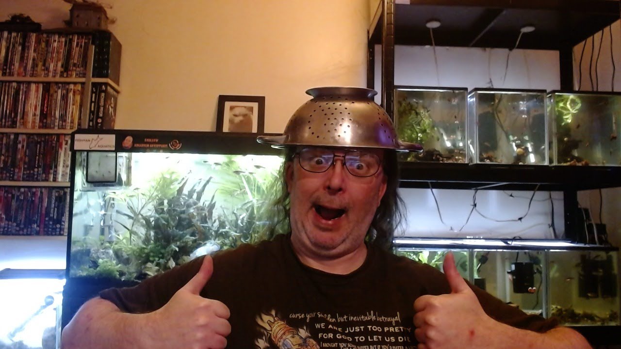 Sunday Sharpe: with added bubbles! - YouTube