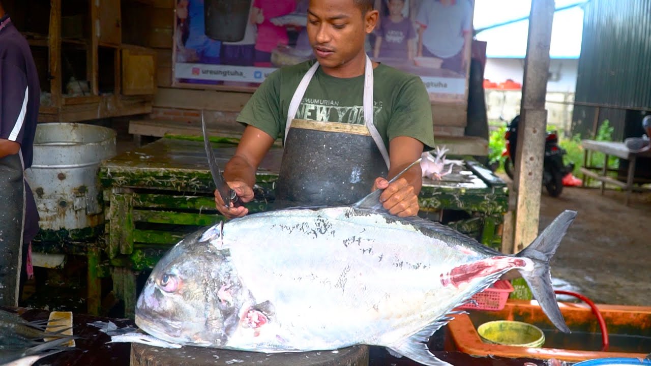 PERFECT FISH CUTTING || Master Fisherman Shares Top BIG TREVALLY FISH ...