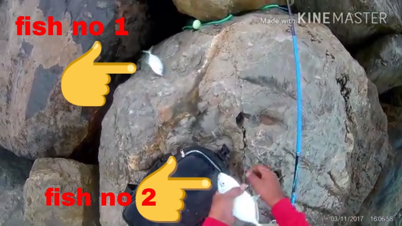 Jash Fishing in Abu Dhabi - YouTube