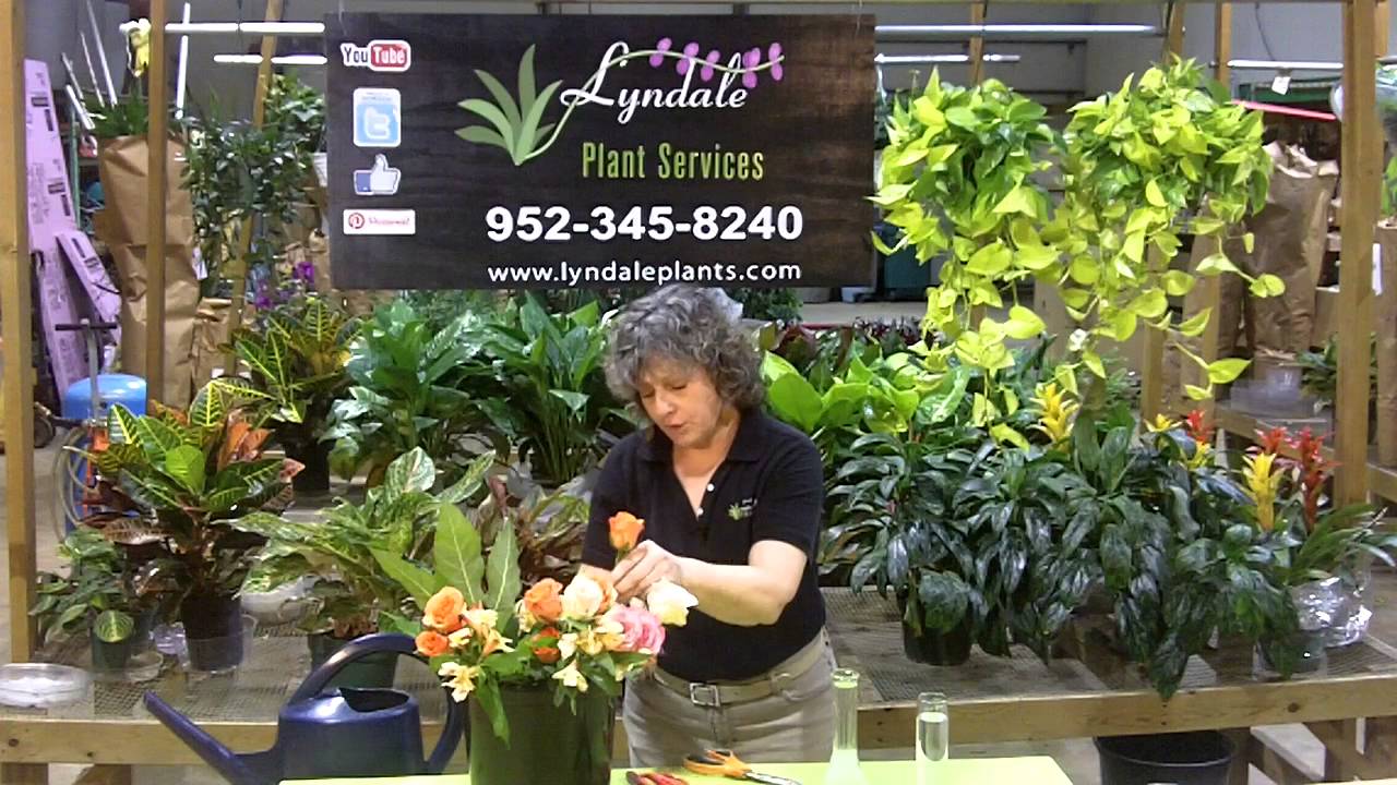 Lyndale Plant Services Bud Vase demo - YouTube