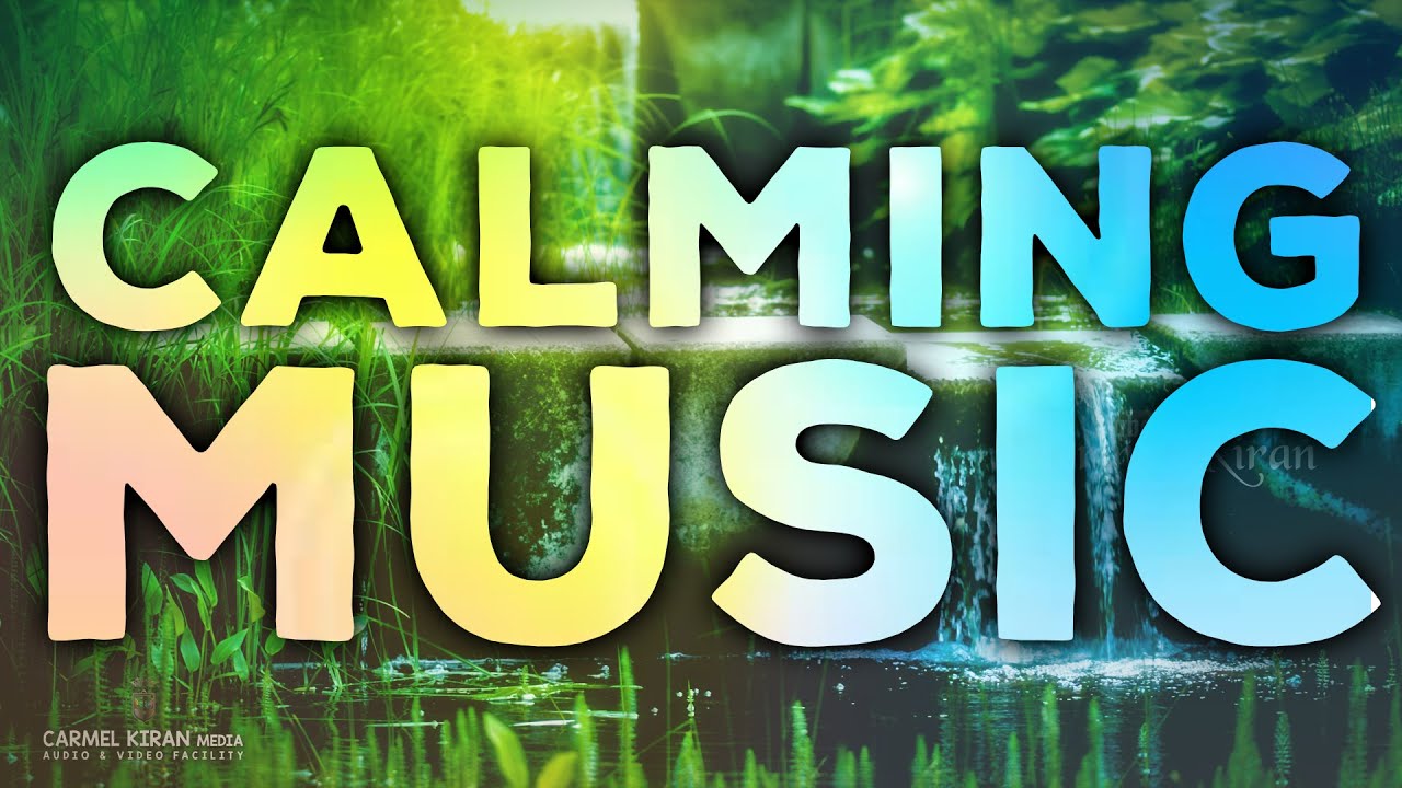 Calming Music - [ Relaxing Music, Sleep Music, Study ] - YouTube Music