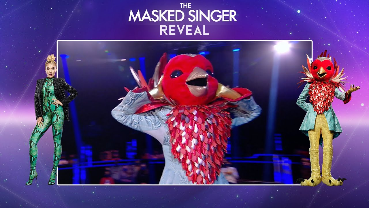 ASTON MERRYGOLD is Robin! | Season 2 Final Reveal | The Masked Singer ...