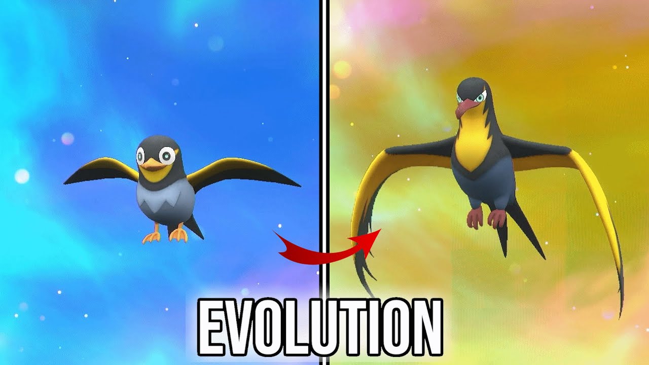 Wattrel | Kilowattrel | Evolution in Pokemon Scarlet & Violet | SV ...
