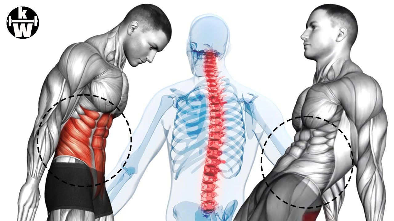 Prevent a Weak Back before it happens with This Exercise. (Strengthen ...