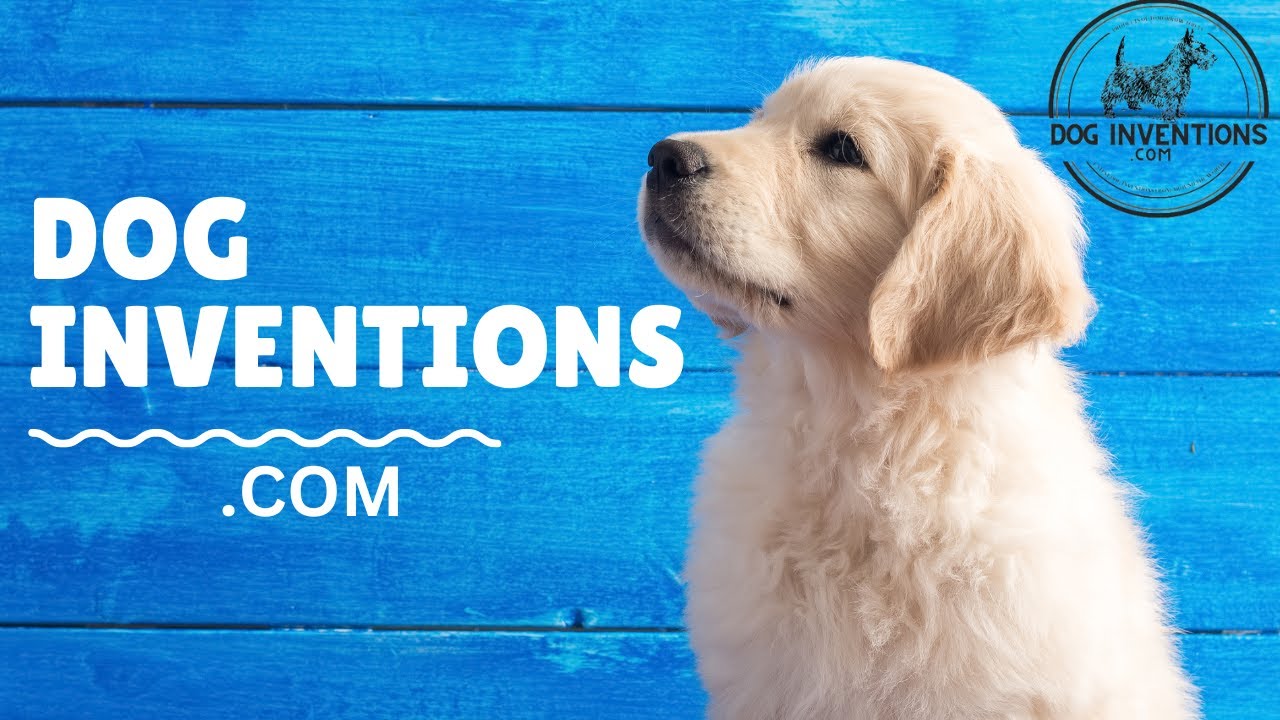 Dog Inventions - YouTube
