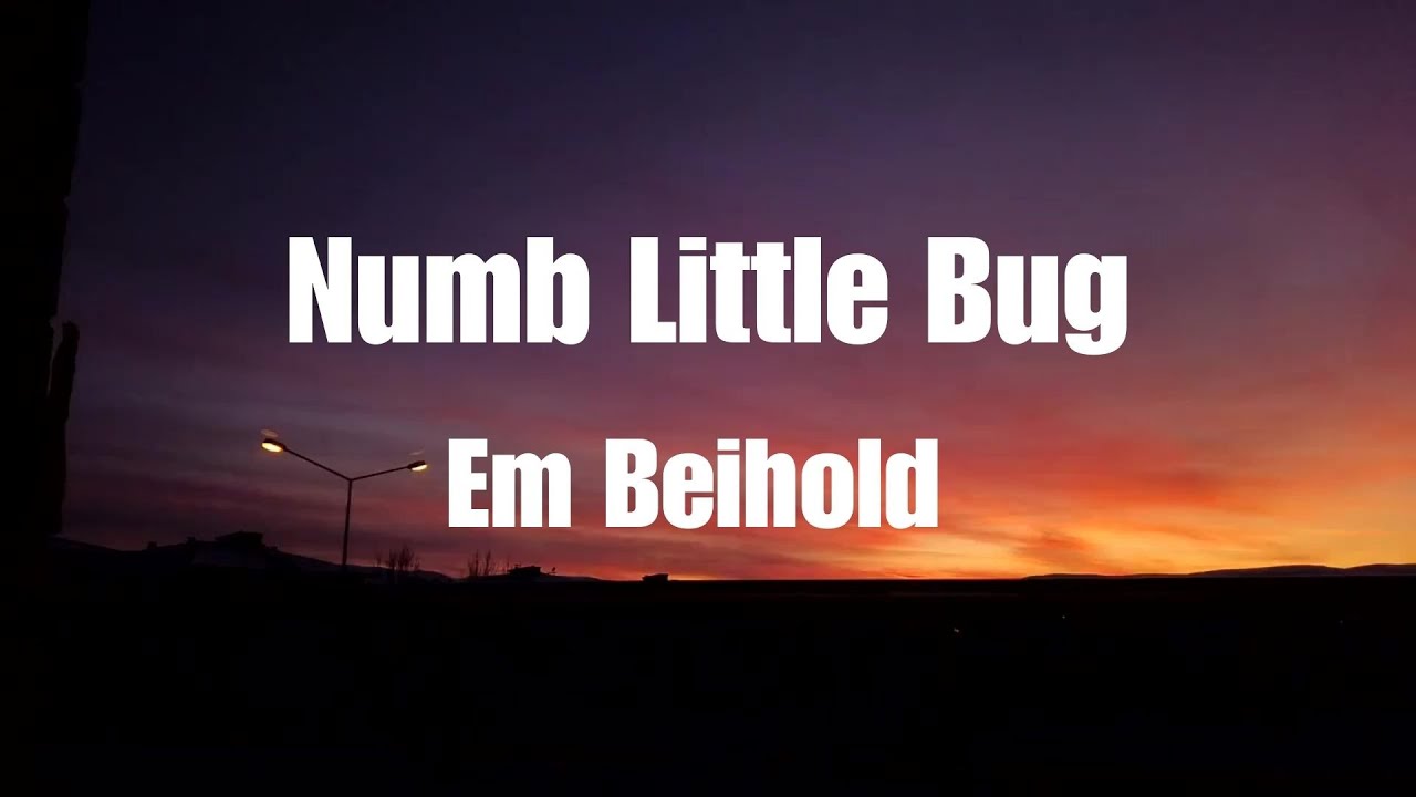 Em Beihold - Numb Little Bug (Lyrics) - YouTube