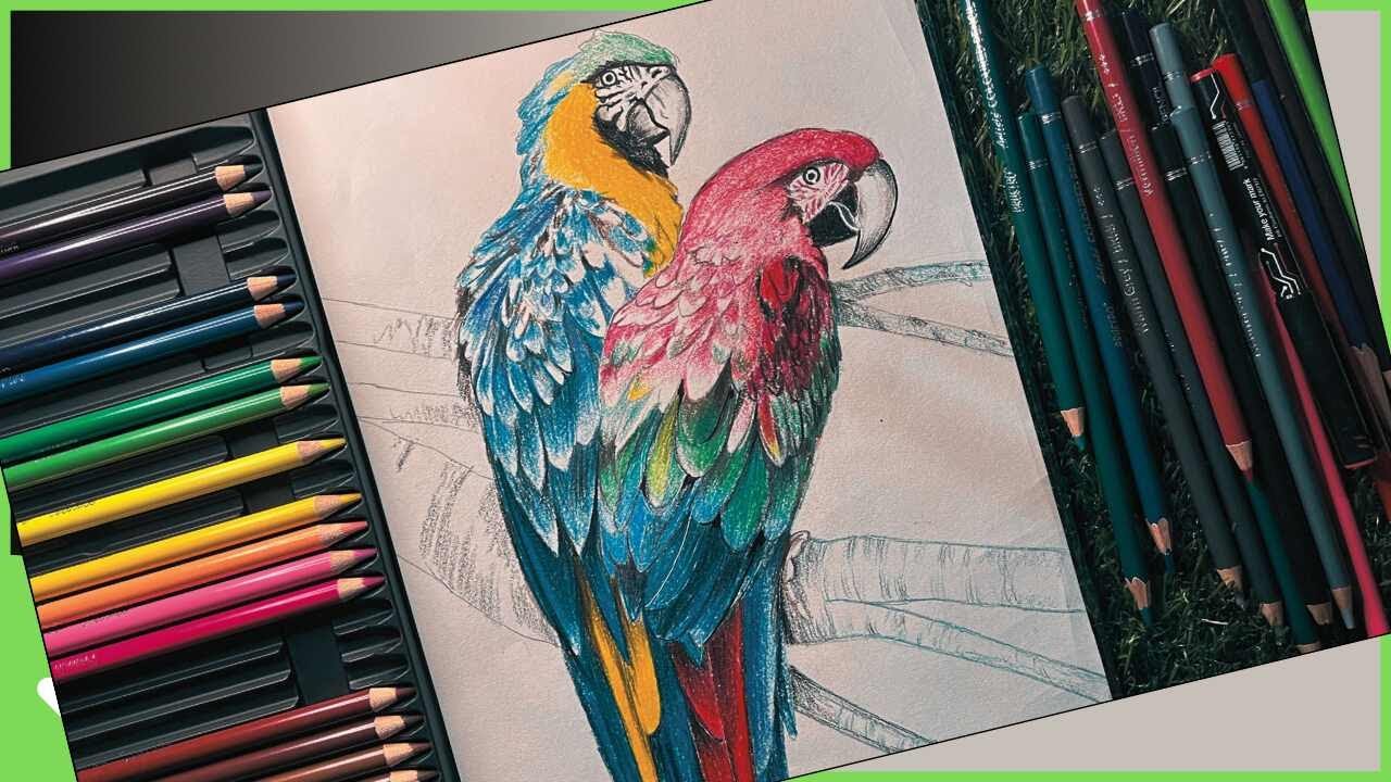 How to draw parrots || 🚀 Drawing sketches colour 💙 painting || painting ...