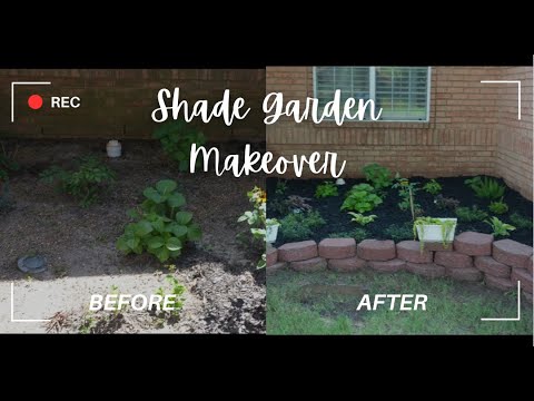 Stunning Shade Garden Makeover | Planting, Transplanting, Relocating ...
