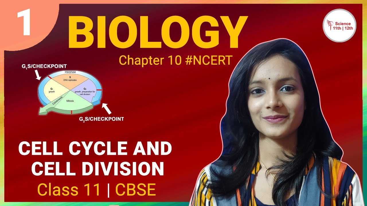Chapter 10 Biology Class 11 | CELL CYCLE AND CELL DIVISION - YouTube