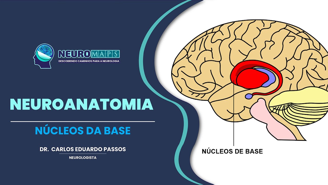 Núcleos da base - YouTube