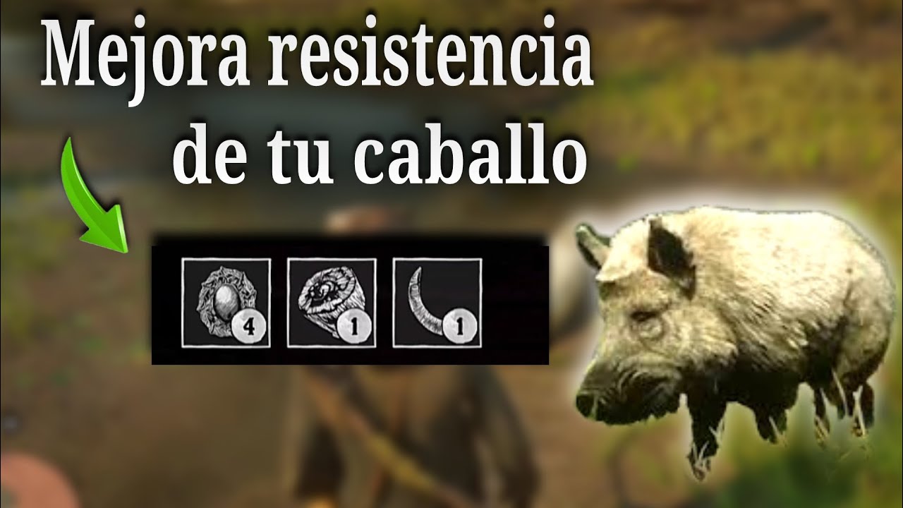Como cazar y conseguir el talismán de jabalí legendario en rdr2 - YouTube
