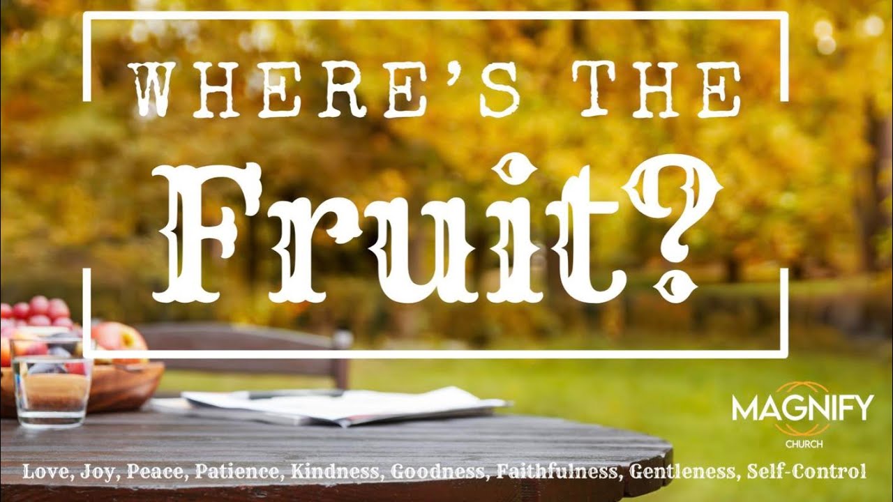 Where is the Fruit Week 4 - YouTube