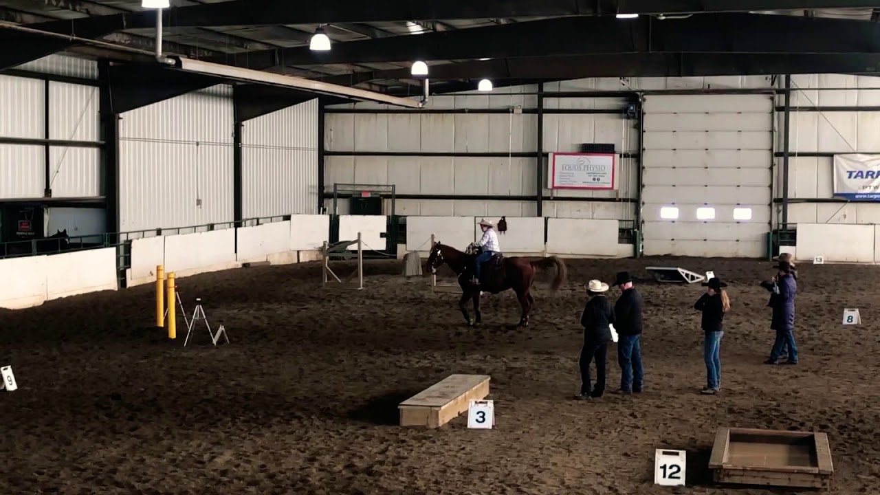 Extreme Cowboy Race March 2019 - YouTube