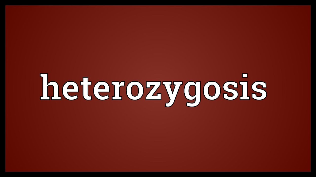 Heterozygosis Meaning - YouTube