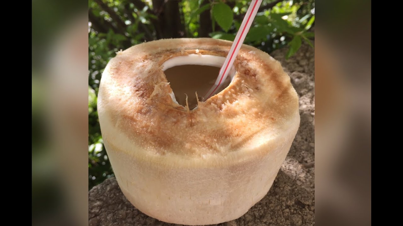 How to Open a Young Coconut with a Screwdriver - YouTube