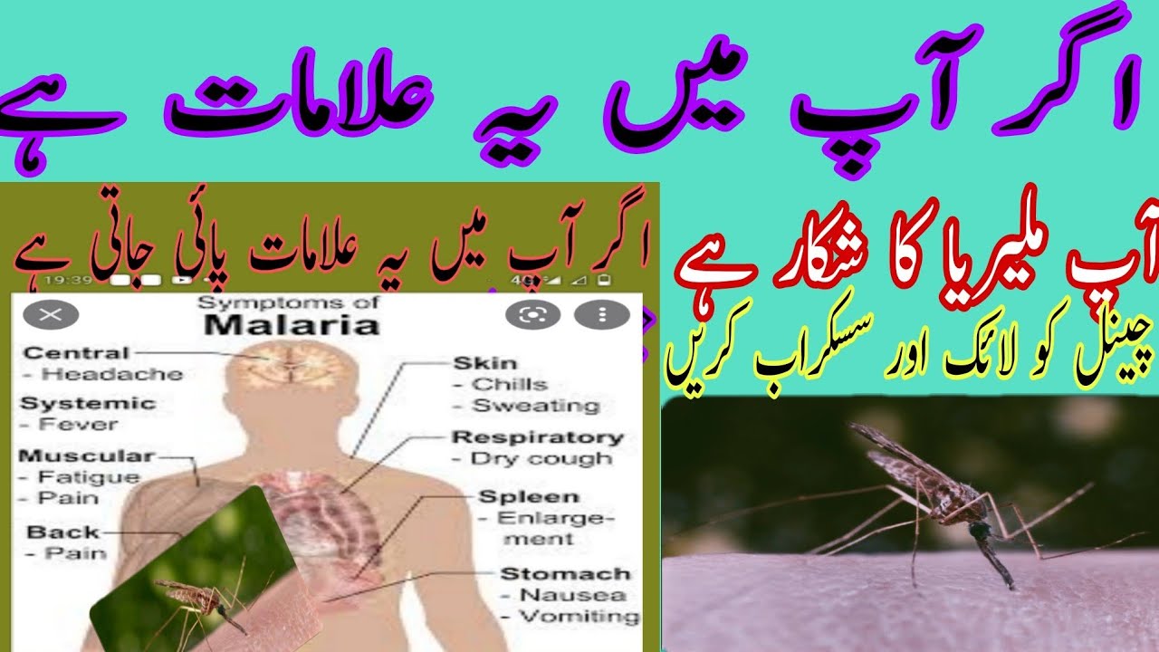 #overwive is Malarest#syrp malarest , symptomes ,precation ,dose - YouTube