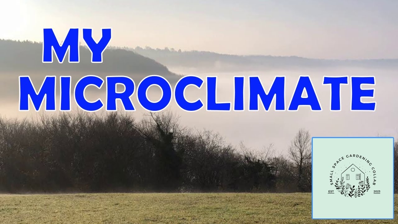 My Microclimate - A Small Garden Collaboration Video - YouTube