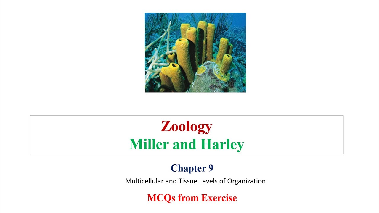 Zoology Chapter 9 MCQs - YouTube