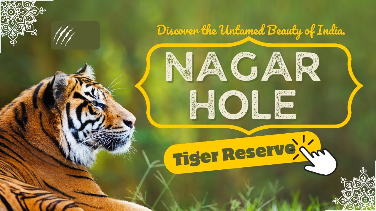 Nagarahole Tiger Reserve / Nagarhole National Park / Leopard / Black ...