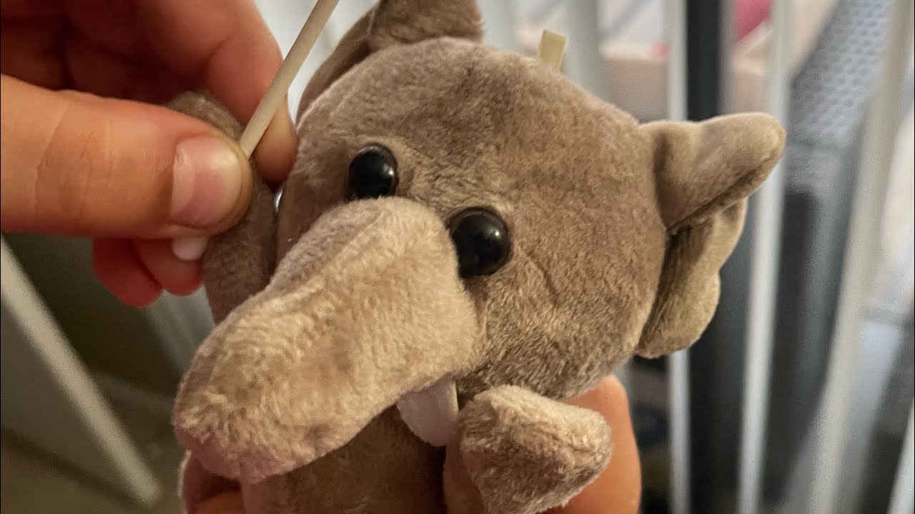 Garfield and Odie the elephant - YouTube