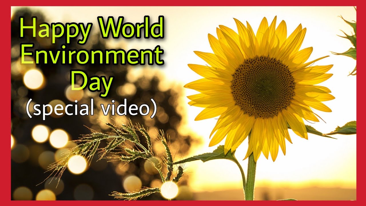 Happy World Environment Day Status Video | World Environment Day 2021 ...