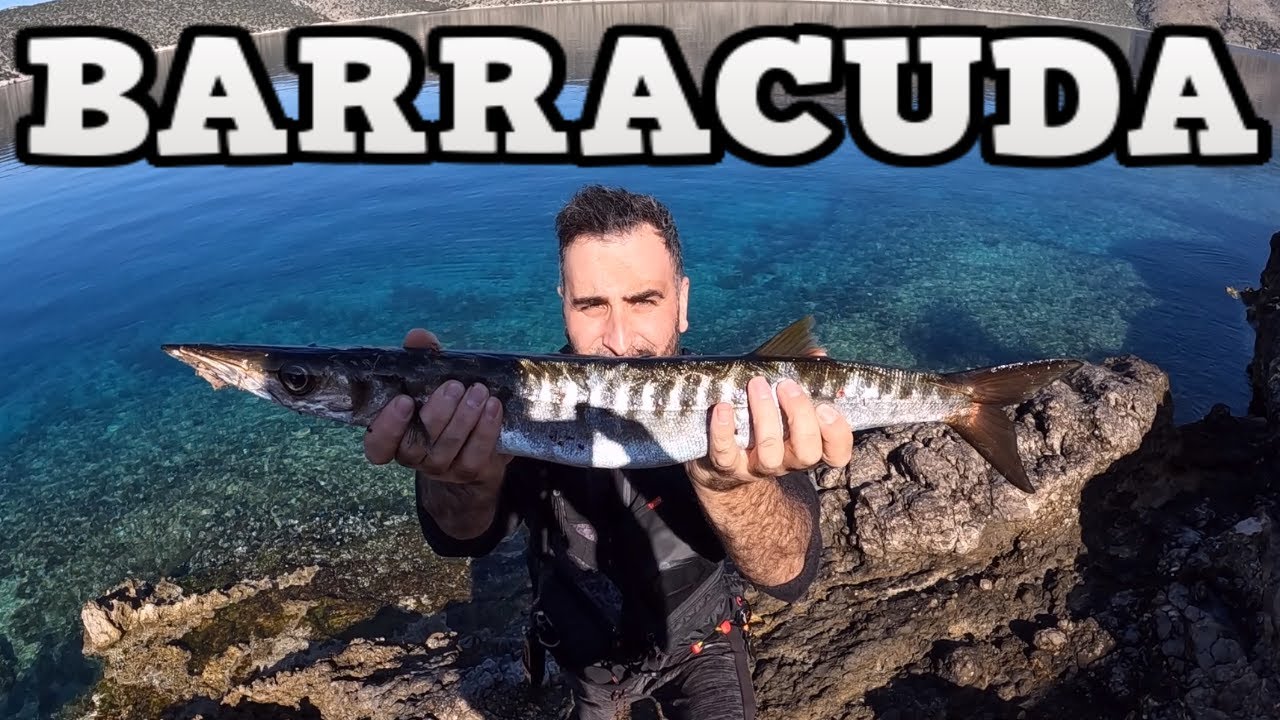 Spinning για λούτσους | Spinning barracuda - YouTube