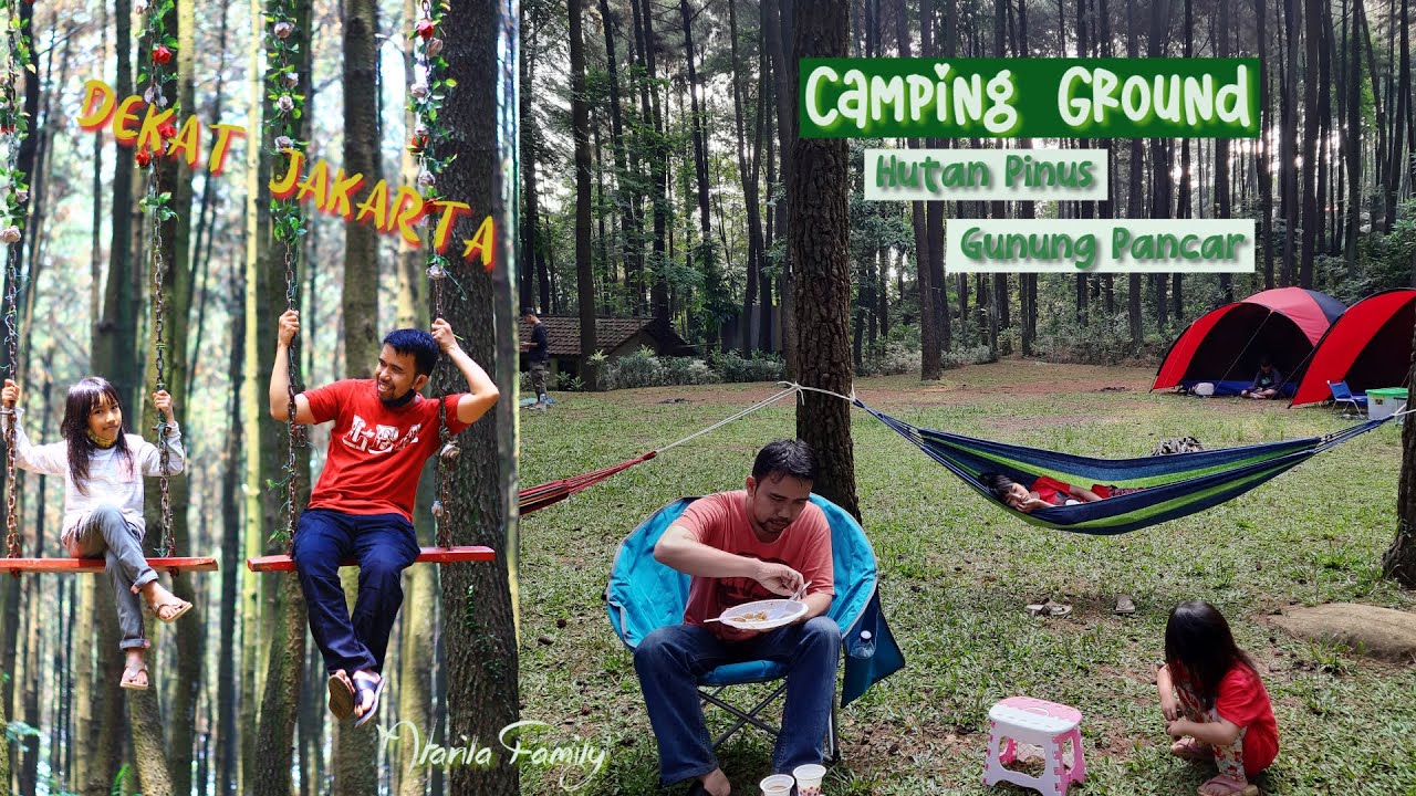 Kemping keluarga, Hutan Pinus Gunung Pancar Sentul Bogor Jawa Barat ...