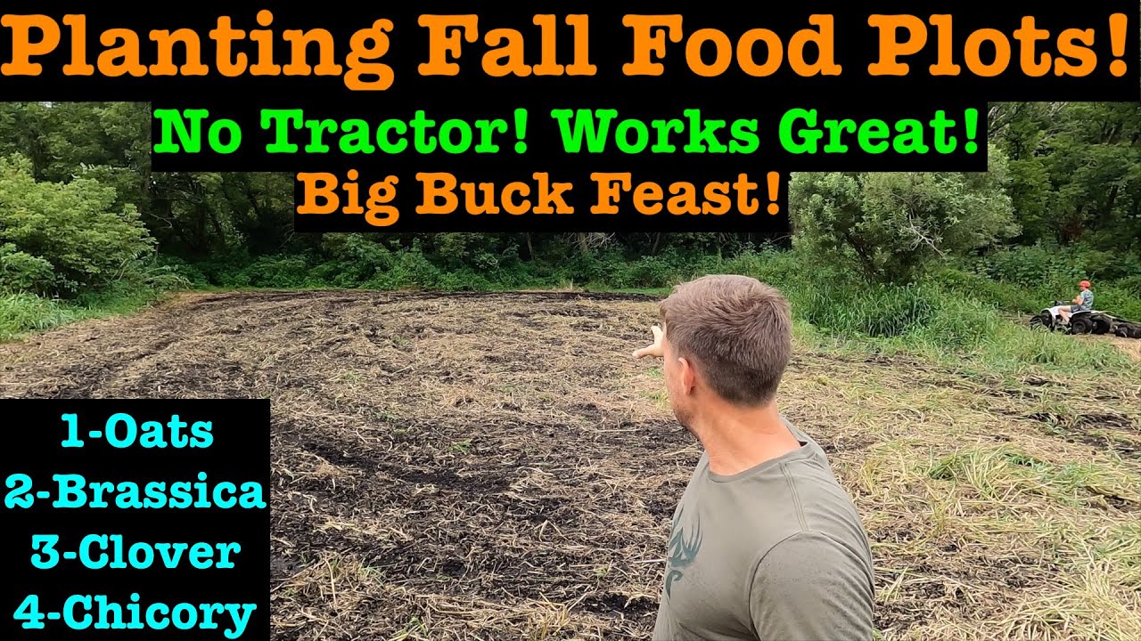 Planting Oats & Brassica Food Plots With NO Tractor! Time For Fall Food ...