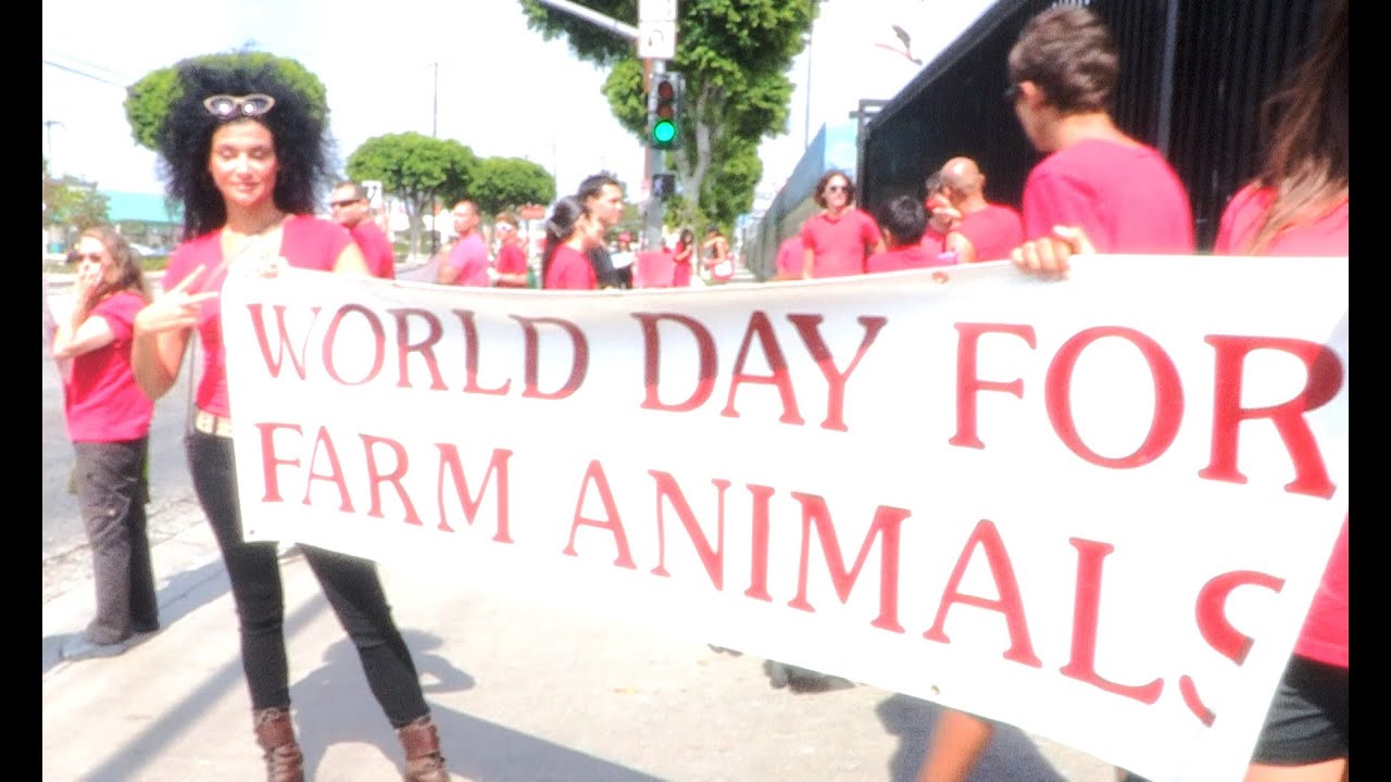 World Day for Farmed Animals - Ellen Ericksen protests at Farmer John ...
