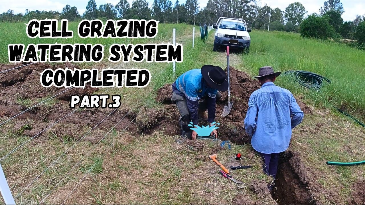 Installation Of Our Cell Grazing Watering System Finally Complete ...