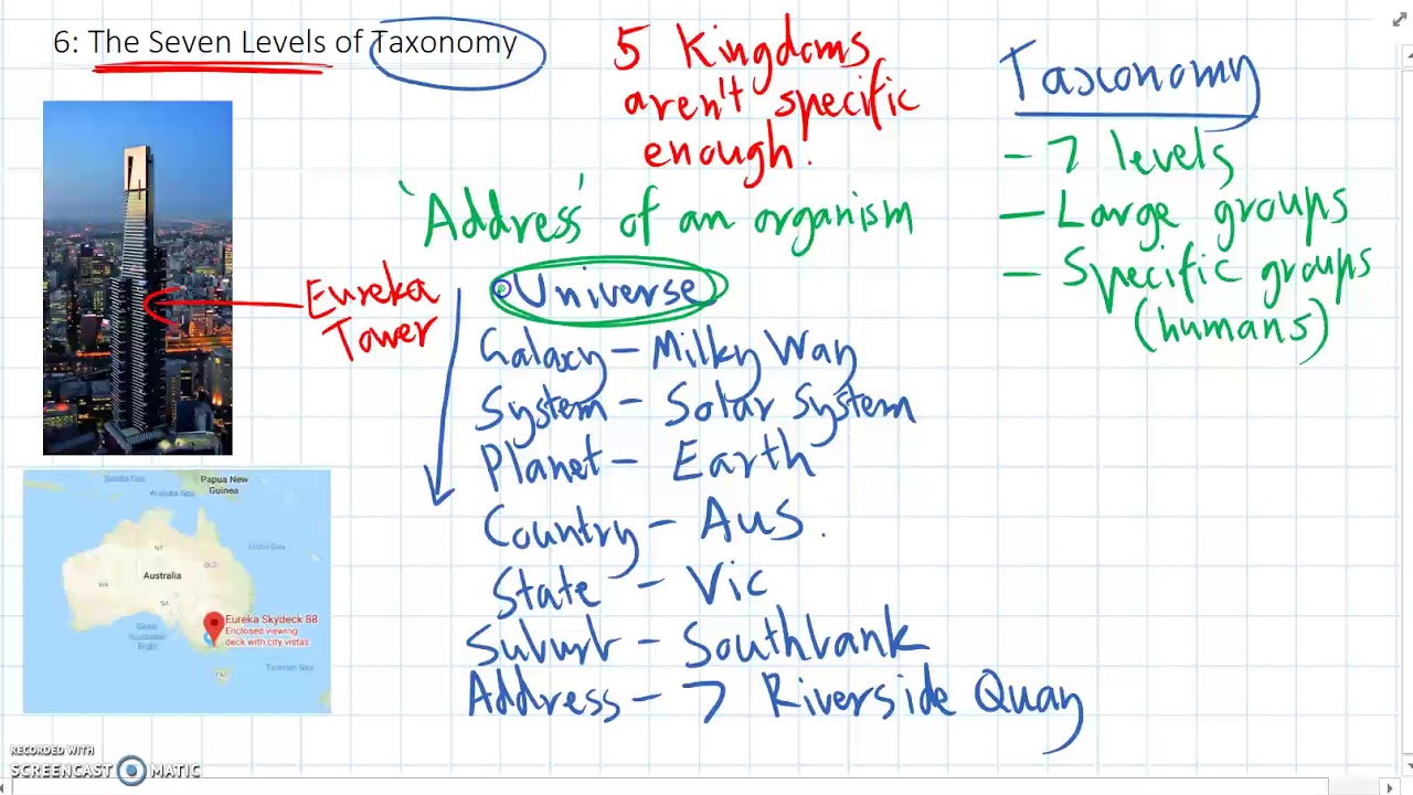 9 - The Levels of Taxonomy - YouTube