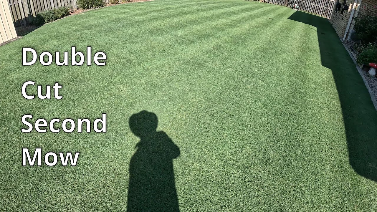 Double Cut Second Mow - YouTube